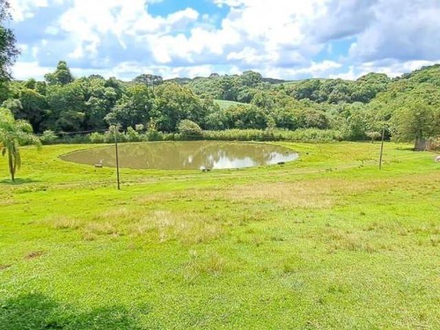 Chácara Campo Largo 22.000 m²
