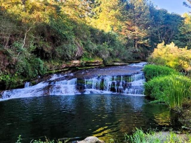 Chácara Carambeí