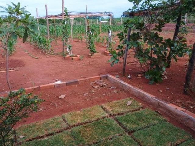 CHACARA CATURAI Chácara à Venda, 2000.00 por R$ 220000.00 VN25608