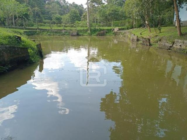 Chacara, Chácara Com Lago E Piscina, Juquitiba, SP