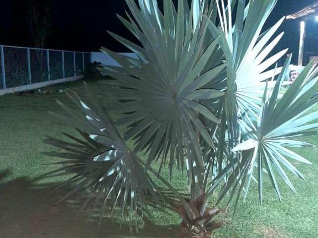 Chácara, Chácara Douradinho, Uberlândia, MG