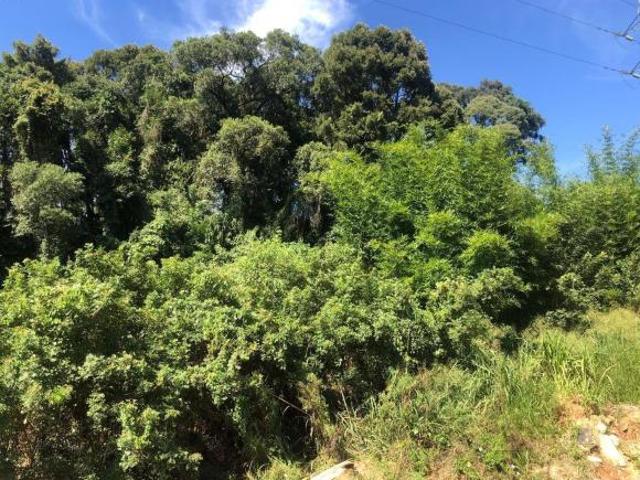 Chacara, Colonia Dom Pedro II, Campo Largo, PR