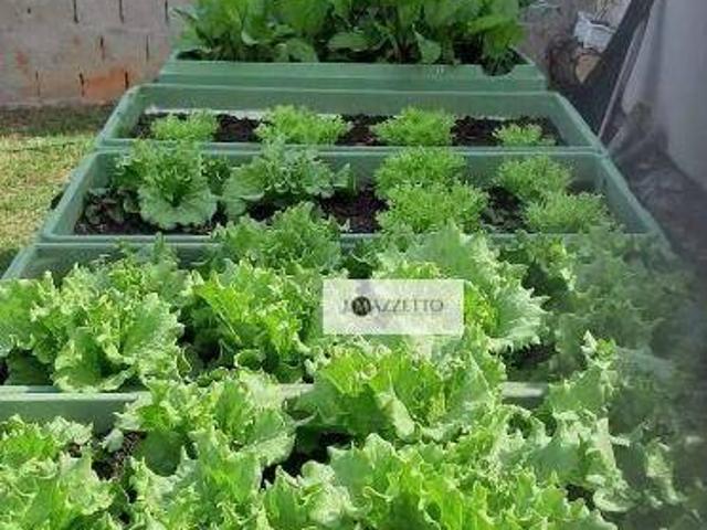 Chácara com 4 dormitórios à venda, 1000 m² por R$ 1.600.000,00 Terras de Itaici Indaiatuba/SP
