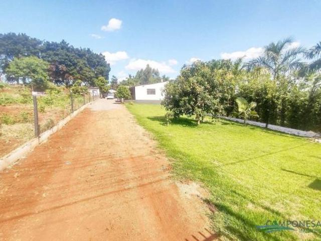 Chácara com 4 dormitórios à venda, 1250 m² por R$ 320.000,00 Fazenda Nata Londrina/PR
