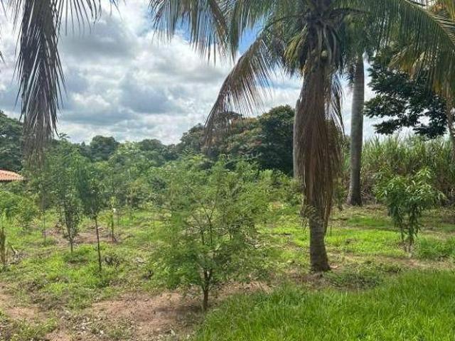 Chácara com 4 dormitórios à venda, 20000 m² por R$ 1.500.000,00 Quilômetro Sete Catanduva/SP