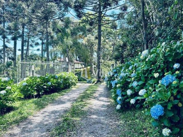 Chácara com 4 dormitórios à venda, 20249 m² por R$ 1.690.000 Colônia Santa Maria Piraquara/PR