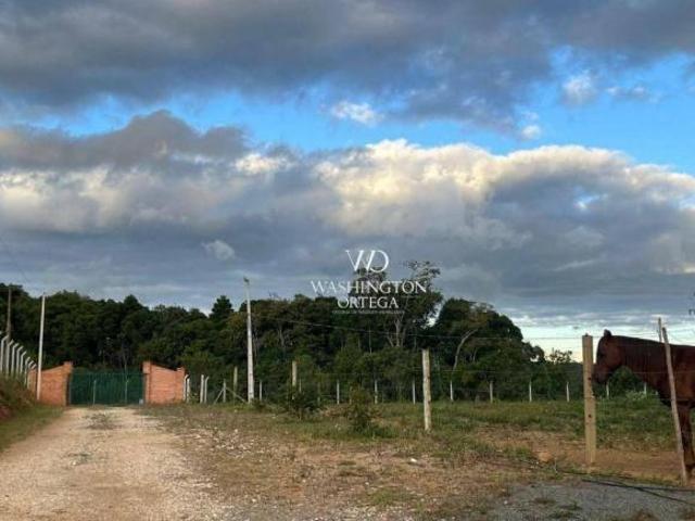 Chácara com 4 dormitórios à venda, 21650 m² por R$ 2.595.000,00 Jardim Pioneiro Campo Magro/PR