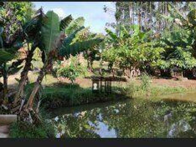 Chácara com 4 dormitórios à venda, 3000 m² por R$ 550.000 Sagrado Coração de Jesus Juiz de For