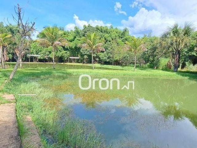 Chácara à venda, 46000 m² por R$ 4.000.000,00 Trindade Trindade/GO