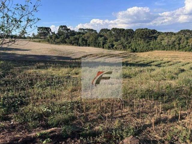 Chácara com 4 dormitórios à venda, 47190 m² por R$ 800.000 Zona Rural Quitandinha/PR