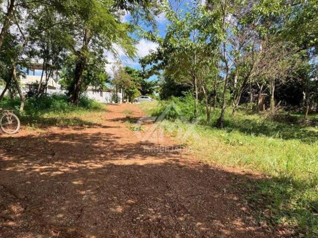 Chácara com 4 dormitórios à venda, 546 m² por R$ 400.000,00 Alvorada do Sul Alvorada do Sul/PR