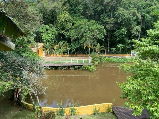 Chácara com 4 dormitórios à venda, 6000 m² por RS 2.500.000,00 Centro Santa