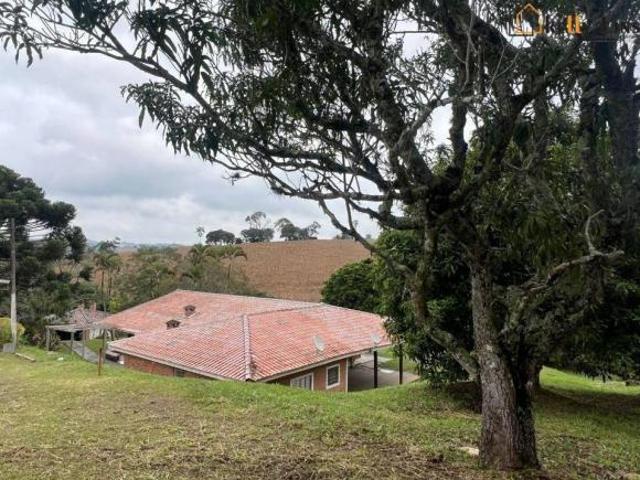 Chácara com 4 dormitórios à venda, 6500 m² por R$ 700.000,00 Zona Rural Pinhalzinho/SP