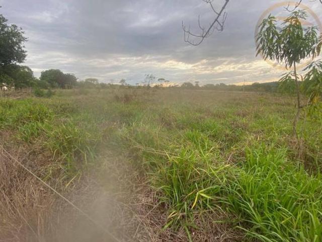 Chácara com 4 dormitórios à venda, 70000 m² por R$ 1.600.000 Sobradinho dos Melos Paranoá Para