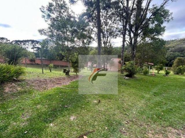 Chácara com 4 dormitórios à venda, 7800 m² por R$ 545.000,00 Areia Branca dos Assis Mandirituba