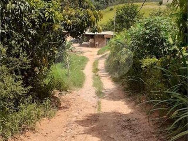 Chácara com 4 quartos à venda em Vista Alegre SP