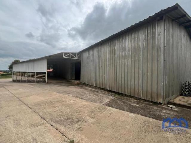 Chácara com 4 Quartos e 2 banheiros à Venda, 5.000 m² por R$ 2.500.000 Cód. ch2145