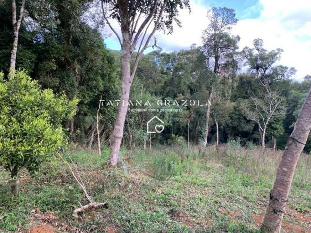 Chácara com 4.477,09 m² à venda por R$ 269.000 – Rincão, Tijucas do Sul