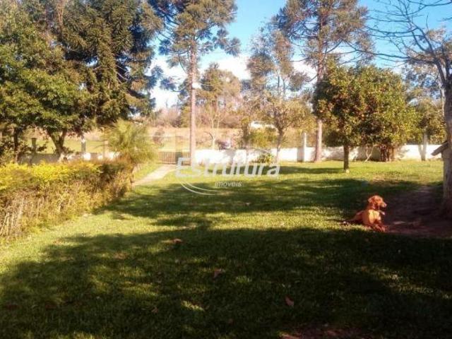 Chácara com 4,7 Hectares: Casa Semi Mobiliada, 3 Quartos, Piscina, Energia Solar