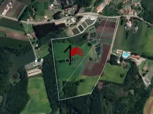 Chácara com 57.172,5m², à venda, no bairro Colônia Murici em São José dos Pinhais