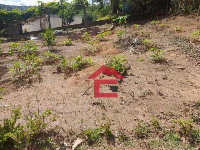 Chácara com 5 dormitórios à venda, 10000 m² por R$ 1.800.000,00 Altos de São Roque São Roque/SP