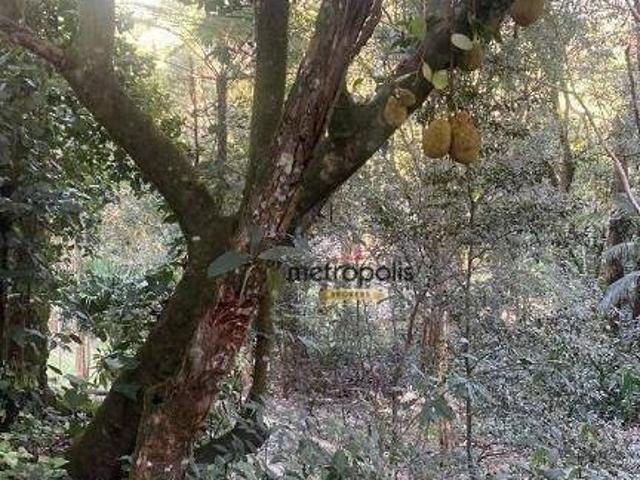 Chácara com 5 dormitórios à venda, 13000 m² por R$ 690.000,00 Vila Jurubatuba São Bernardo do Ca