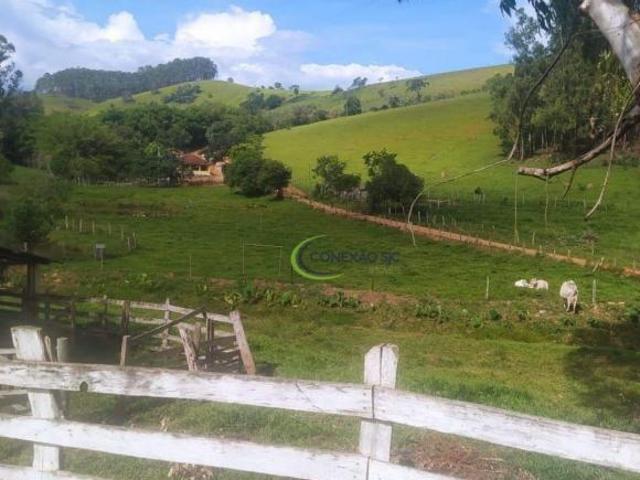 Chácara com 5 dormitórios à venda, 25000 m² por R$ 800.000,00 Conceicao Dos Ouros Conceição dos