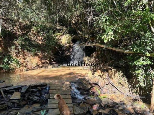 Chácara com 5 dormitórios à venda, 27000 m² por R$ 800.000 Briquituba Alumínio/SP