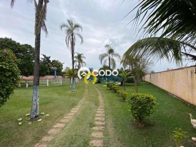 Chácara com 5 dormitórios, 5000 m² venda por R$ 1.600.000,00 ou aluguel por R$ 15.000,00/mês Cam