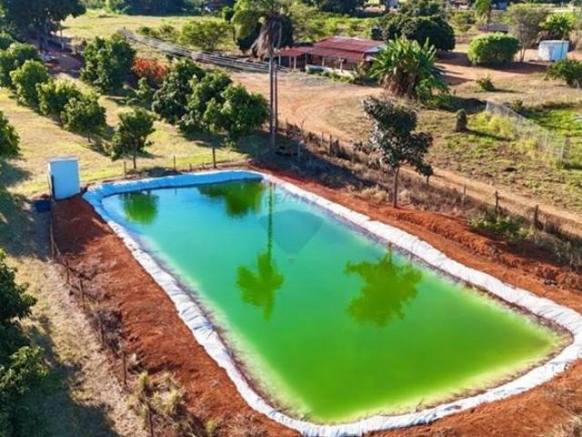 Chácara com 5 Hectares à Venda – Casa Ampla, Produção Agrícola e Localização Privilegiada!