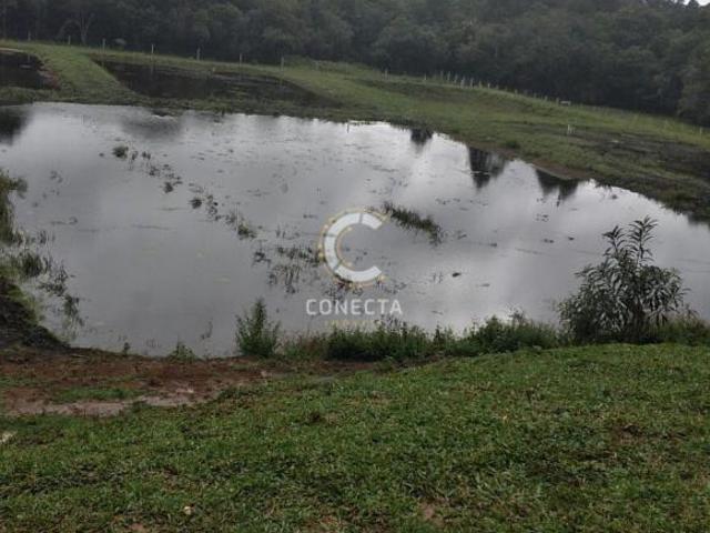Chácara com 5 tanques de peixe