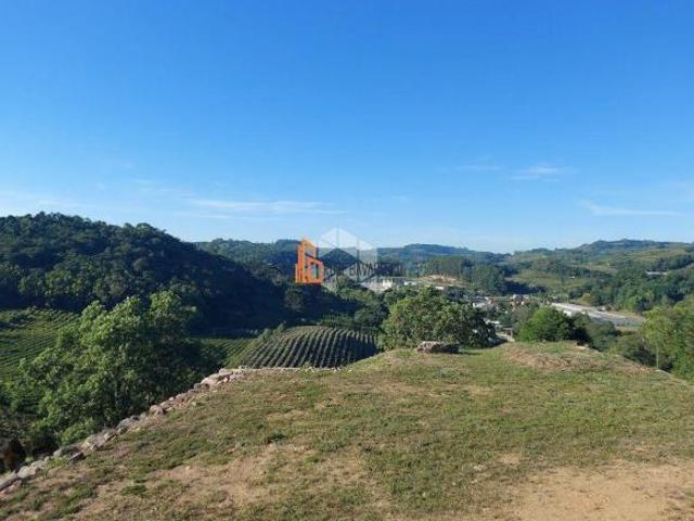 CHÁCARA COM 5,6 ha VALE DOS VINHEDOS RS