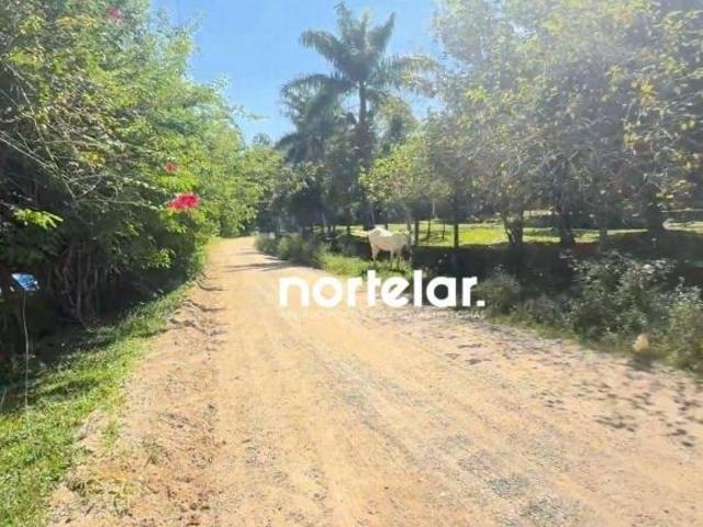 Chácara com 6 dormitórios à venda, 1310 m² por R$ 430.000,00 Cajamar Cajamar/SP