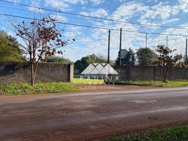Chácara com 6 dormitórios à venda, 16892 m² por R$ 2.500.000,00 Lote Grande Foz do Iguaçu/PR