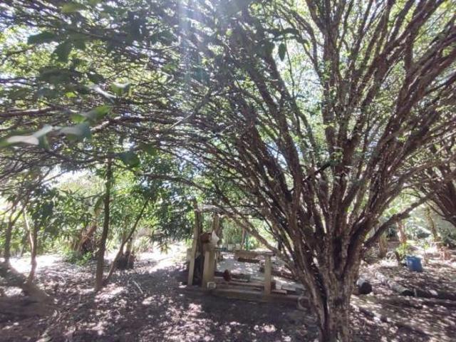 Chácara com 6 dormitórios à venda, 2000 m² por RS 1.000.000,00 Pau D Alhinho Piracicaba SP