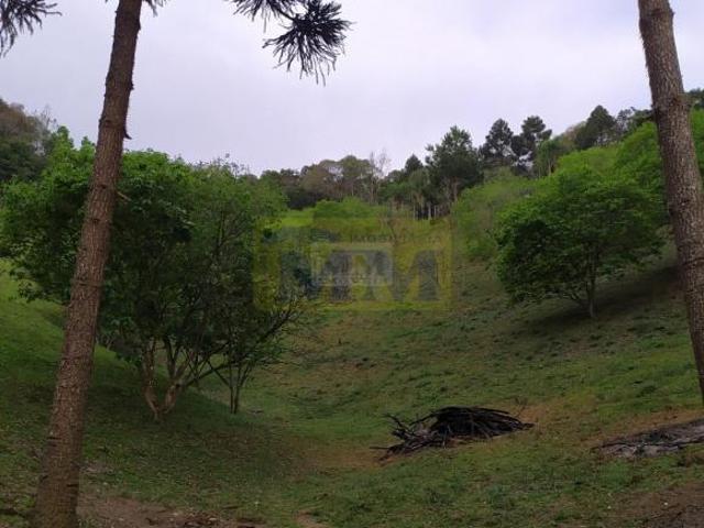 Chácara com 72.000m² no bairro Pinheirinho CAMPINA GRANDE DO SUL / PR
