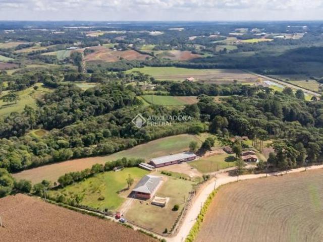 Chácara com 7 dormitórios à venda, 31000 m² por R$ 2.299.000,00 Avencal São José dos Pinhais/PR