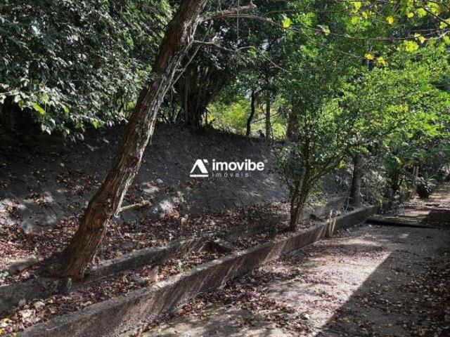 Chácara com 7.000m² com mata natural, casa 3 quartos avarandada, nascente natural Limeira SP