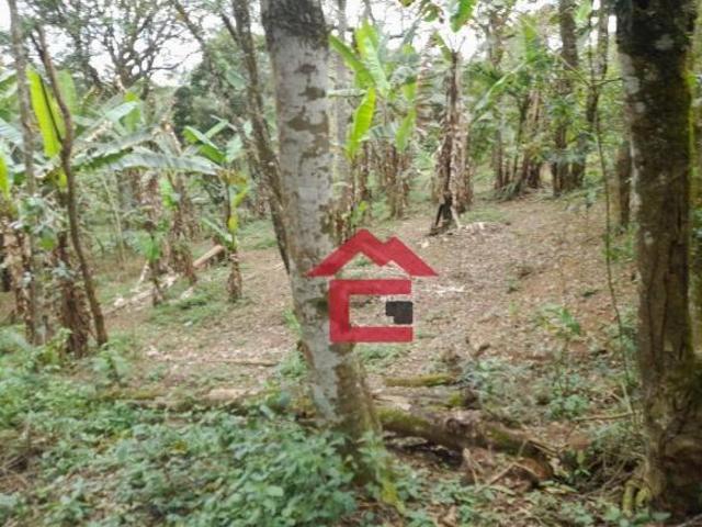Chácara com 8 dormitórios à venda, 9300 m² por R$ 880.000,00 Caetê São Roque/SP
