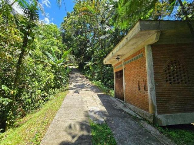 Chácara com 8 dormitórios à venda Estância Balneária Garça Vermelha Peruíbe/SP