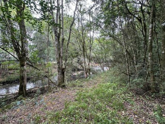 Chácara com 9.7 hectares em Linha 30 Farroupilha