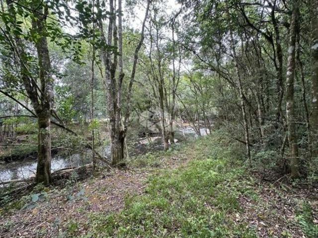 Chácara com 9.7 hectares em Linha 30 Farroupilha