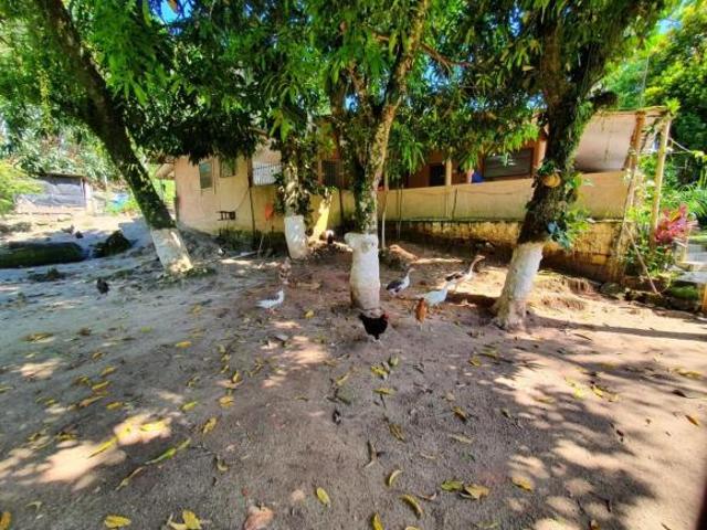 Chácara com 03 quartos e piscina para Venda, Peruíbe / SP