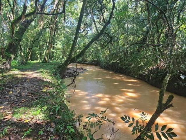 Chácara com 10000 m, registrada, por R 379.000,00 Zona Rural Contenda PR