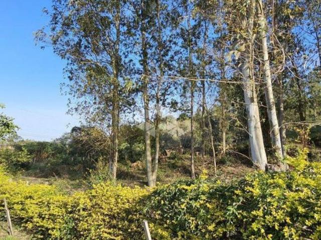 Chàcara com 10.800 hectare situada na localidade de 3 barras Arroio Grande em Santa Maria Rs