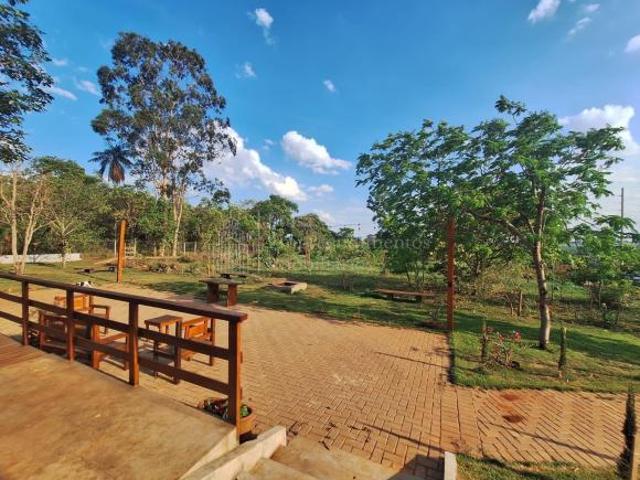 Chácara com 10 dormitórios à venda, Parque dos Poderes, CAMPO GRANDE MS