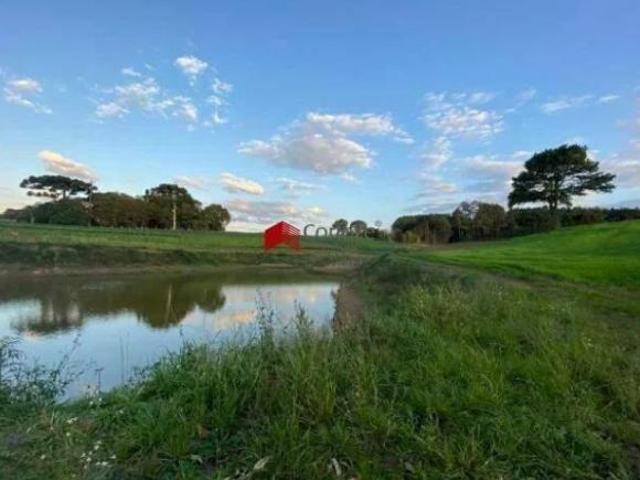 Chácara com 114.345m², à venda, no bairro Colônia Murici em São José dos Pinhais