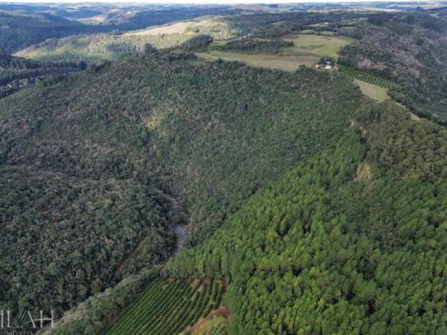 Chácara com 12,6 hectares em Vila Oliva, Caxias do Sul
