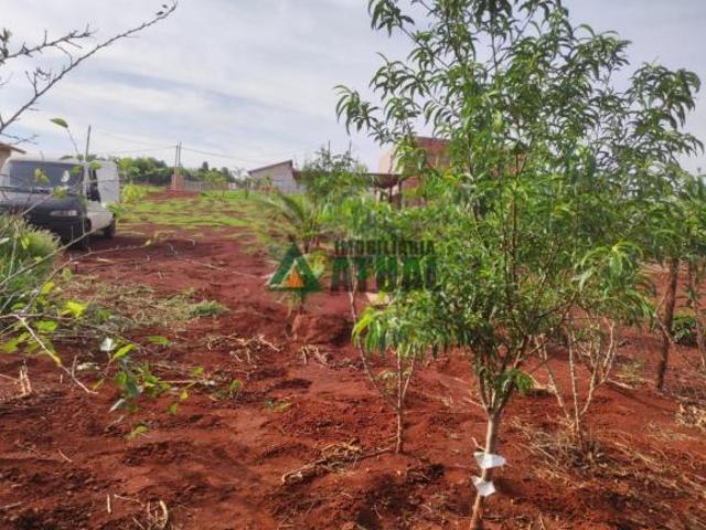 Chácara com 1350m² na cidade de Cambé