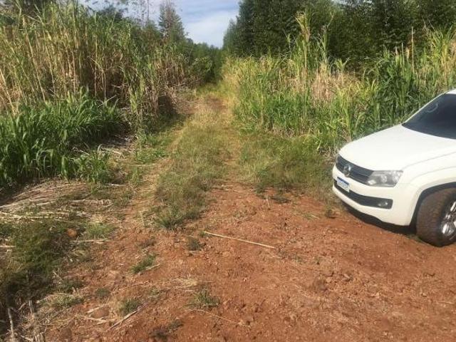 Chácara com 19,63 há de Ativo Florestal e Padtagem dupla aptidão no PR – 16.000 Sacas de Soja [5 a